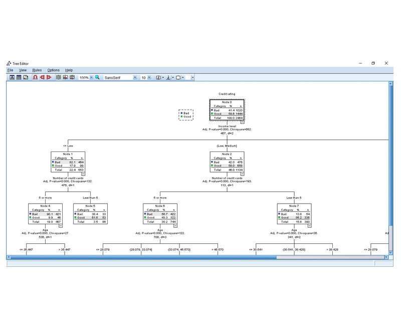IBM SPSS Decision Trees